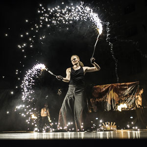 Catalog - Pyroterra Lighttoys - LED Light Poi, Staff, Hoops, Clubs ...